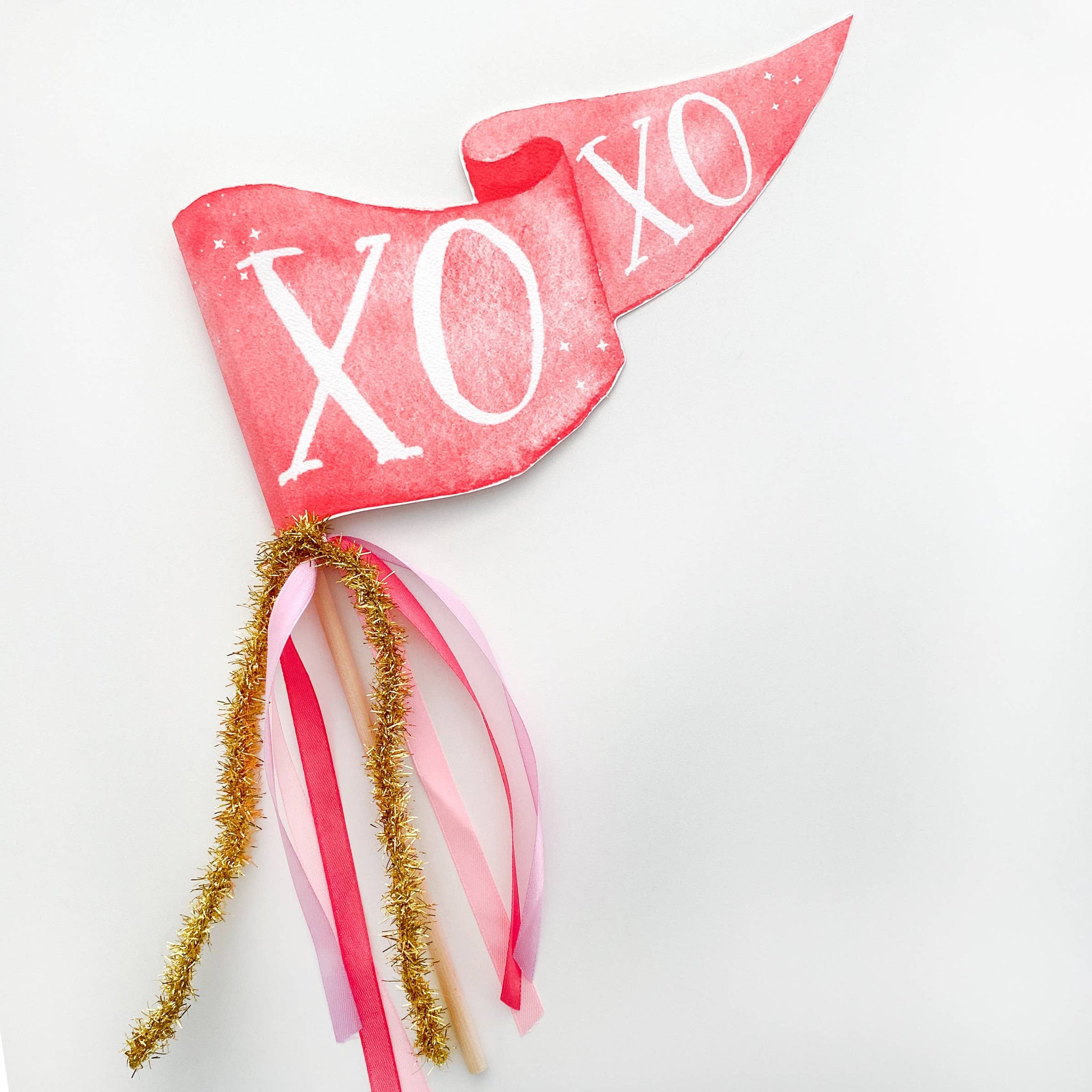 XOXO Party Pennant (Valentine's Day) – Cheeky Plum